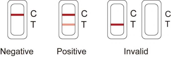Canine Parvovirus diagnostic tests Canine Parvovirus antigen test kit