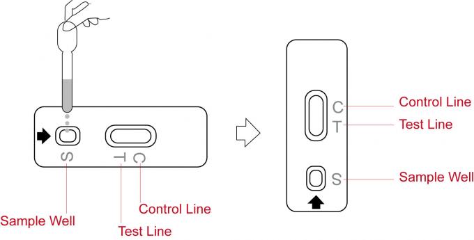 Canine Distemper Virus Antigen Rapid Test Canine Distemper Virus ...
