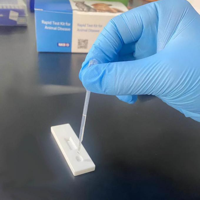 Canine Parvovirus rapid test kit Canine Parvovirus PCR Elisa test